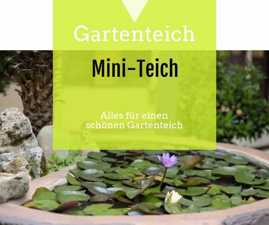 Mini-Teich - gartenteich-guide.de