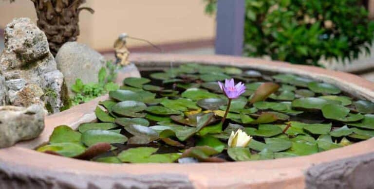 Mini-Teich - gartenteich-guide.de